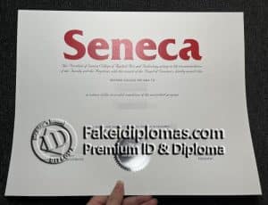 Is it possible to obtain a Seneca College degree in Canada?